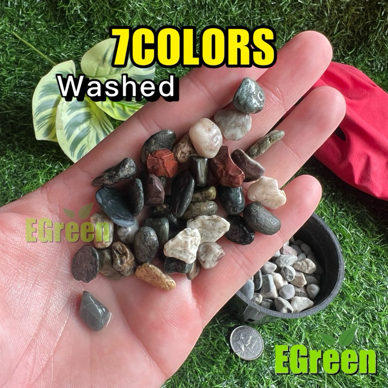 7 Colors / 7COLORS / Seven Colors Pebbles (1kilo) | Shopee Philippines