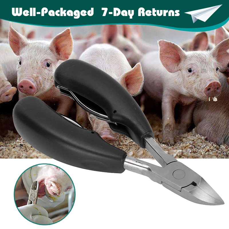 Stainless Steel Pig Tooth Nipper Multifunctional Piglet Broken Tooth ...