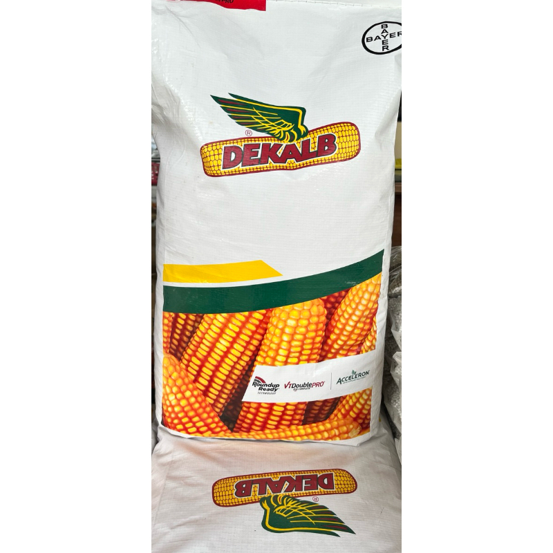 1 KILO DEKALB 8282S HYBRID CORN SEEDS | BAYER (1 KILO) | Shopee Philippines