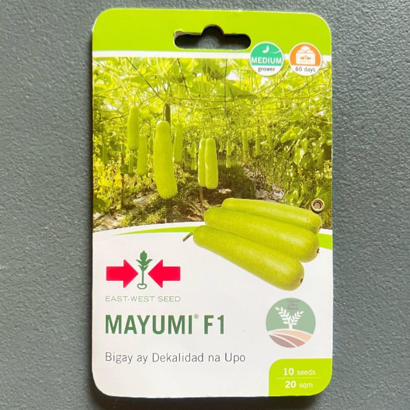 EAST WEST MAYUMI F1 (UPO) HYBRID BOTTLE GOURD VEGETABLE SEED GO GROW ...