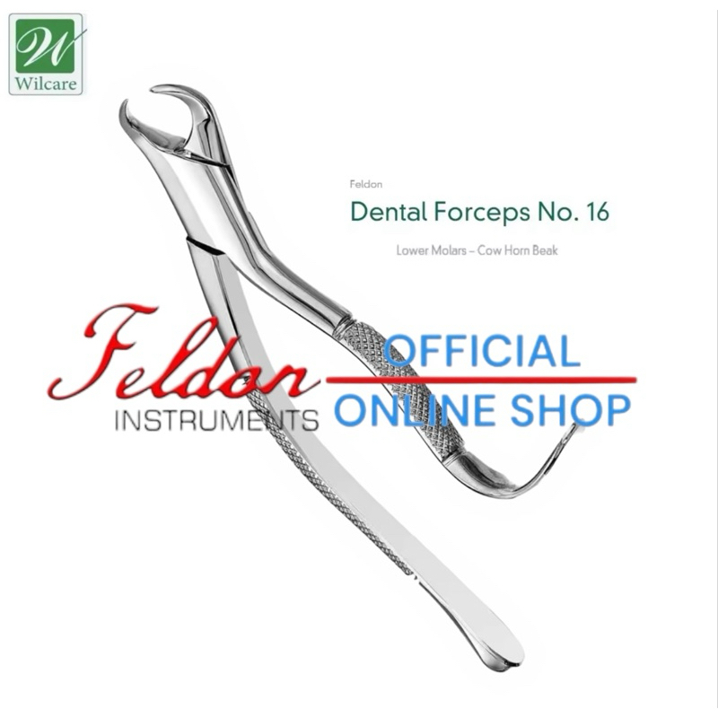 Dental Extraction Forceps ADULT Feldon #88L 88R 151 150 44 16 17 65 69 ...