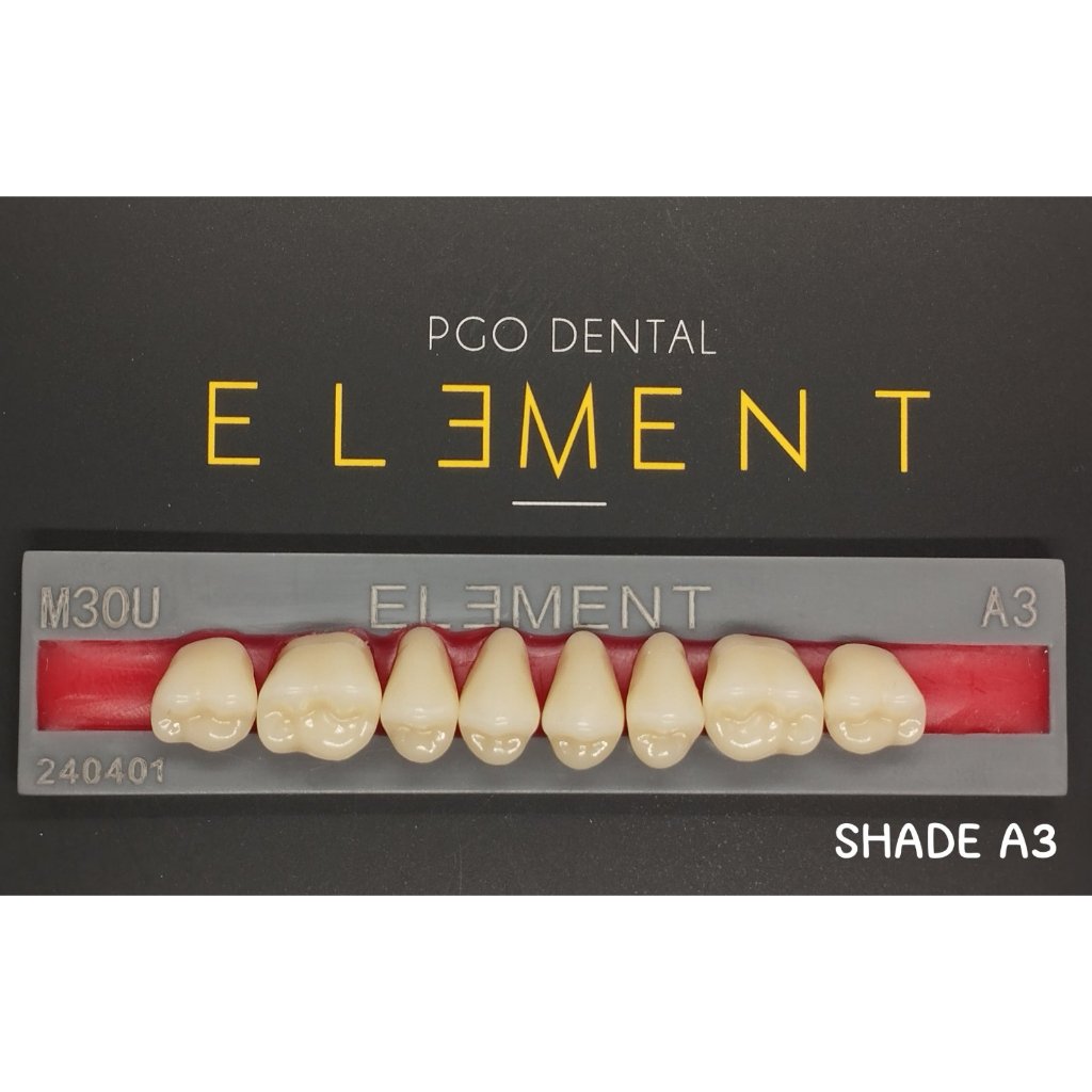ELEMENT Denture Teeth Posteriors 1x8 set acrylic pontic | Shopee ...