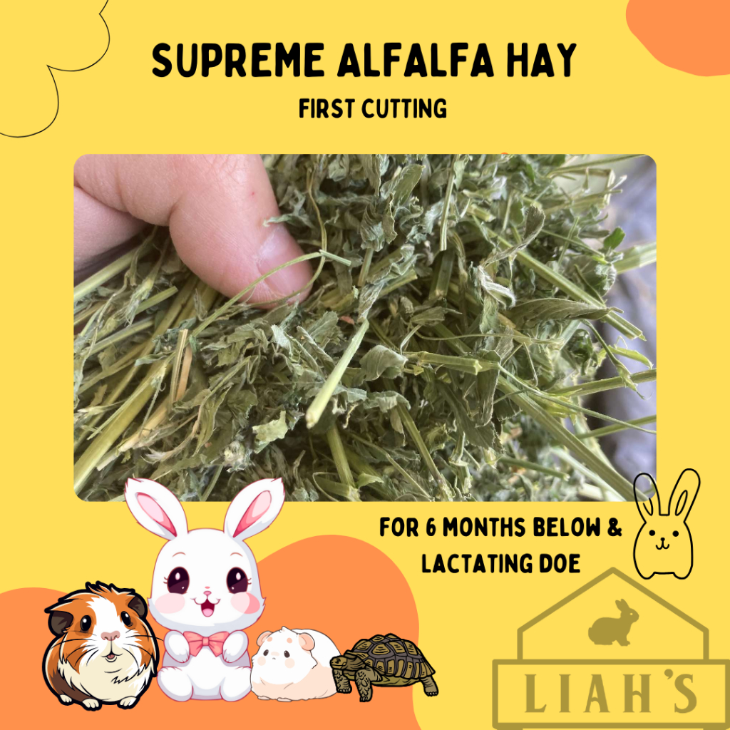 Supreme Alfalfa Hay (long strand leafy) 5kg | Shopee Philippines