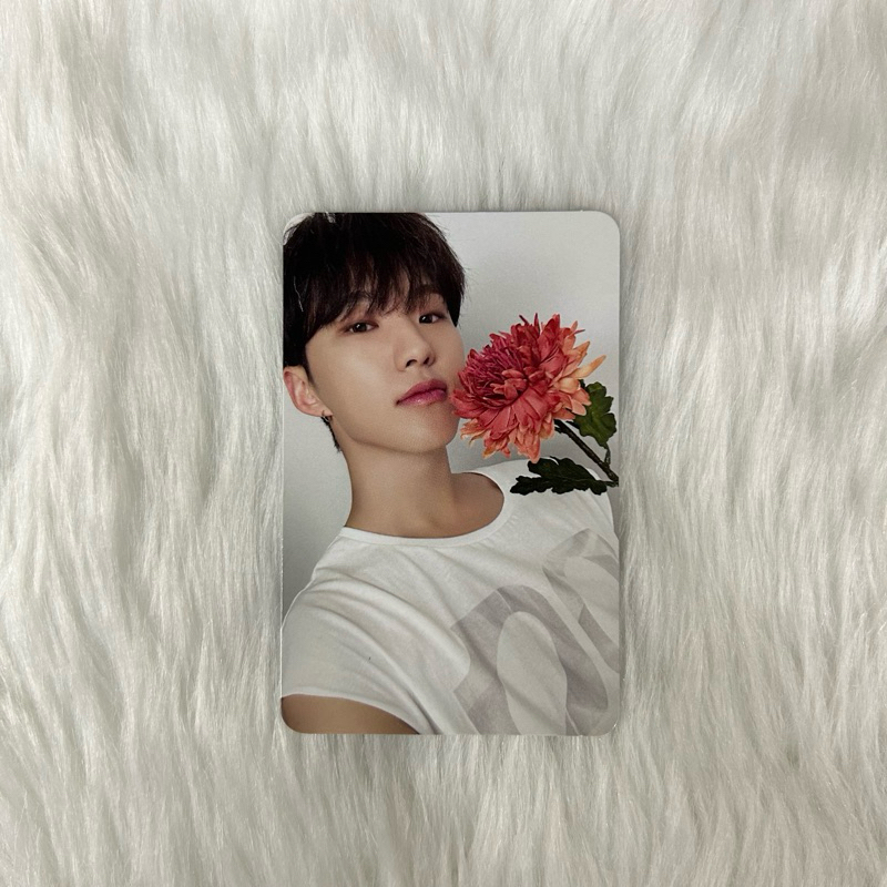 SEVENTEEN HOSHI PHOTOCARD | Shopee Philippines