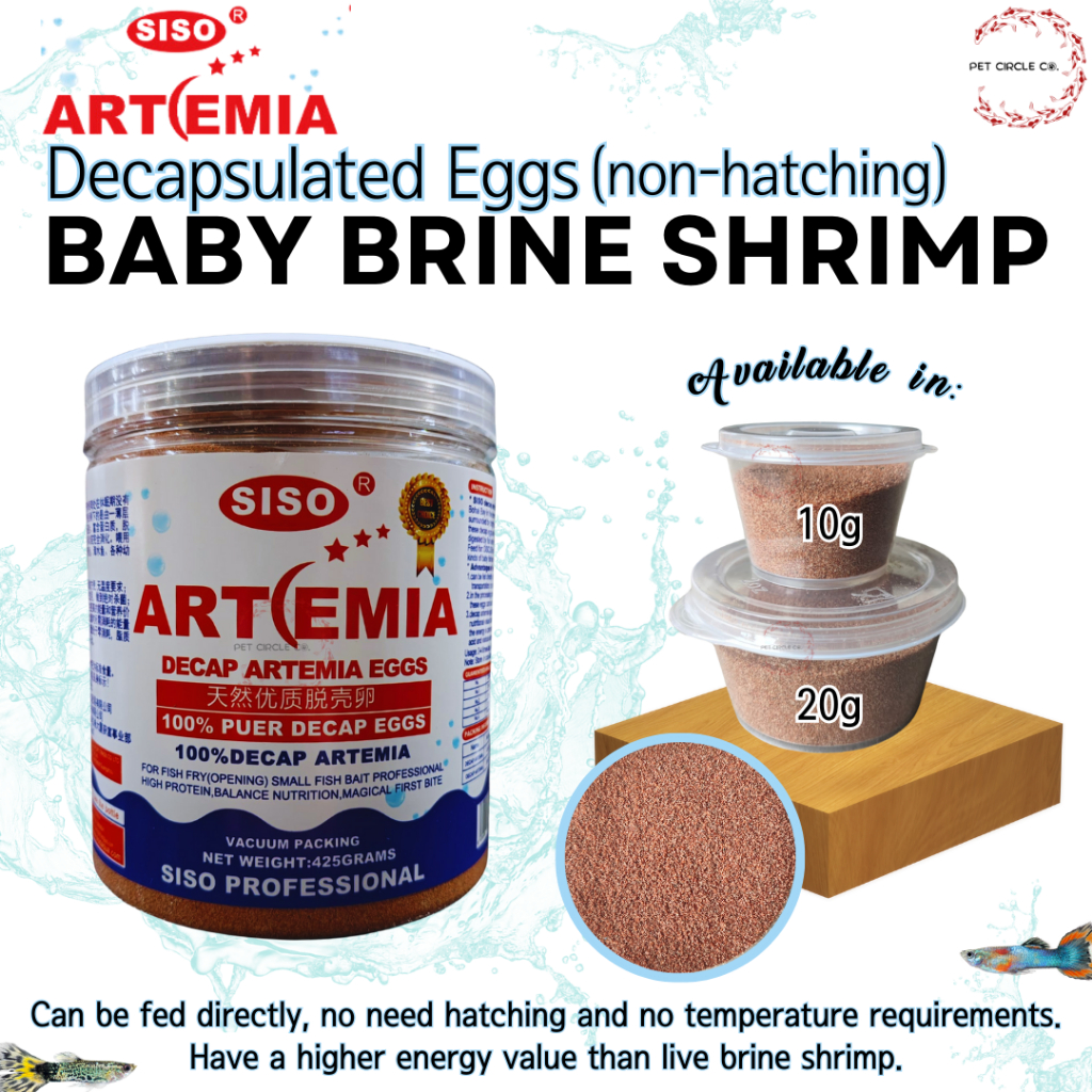 SISO Decap | Decapsulated BBS Artemia Eggs 10g I 20g Fish Food | Shopee ...