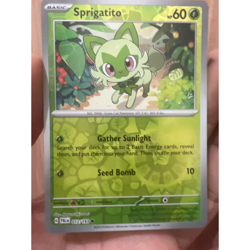 Pokemon TCG - Sprigatito 012/193 Reverse Holo Paldea Evolved | Shopee ...