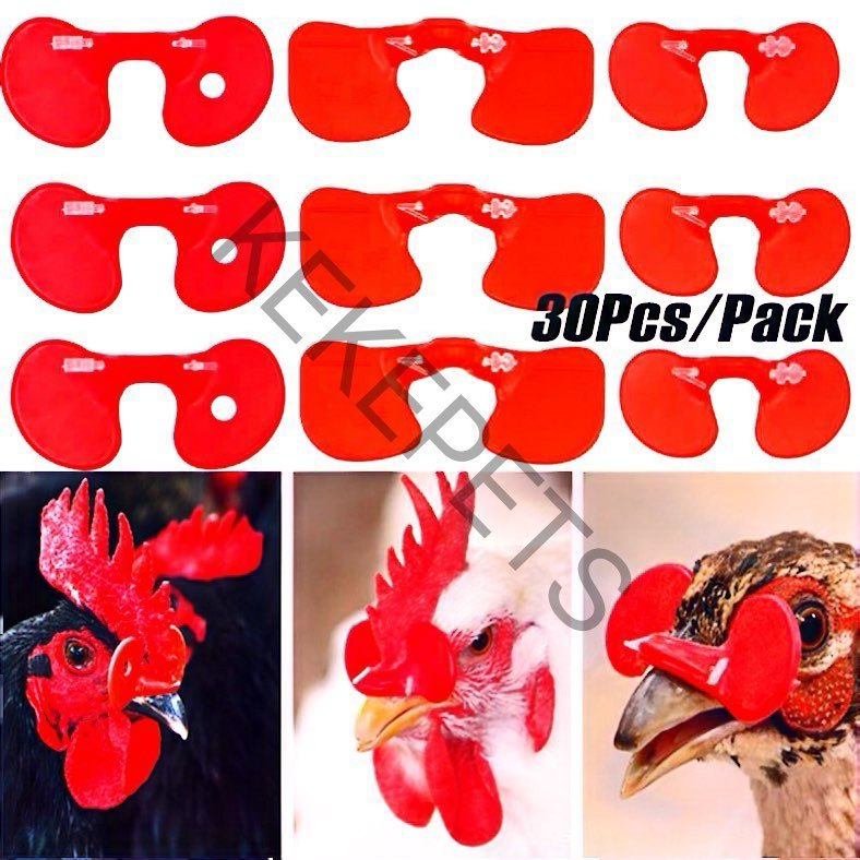 30Pcs Chicken Anti-pecking blinder spectacles Plastic Chicken glasses ...