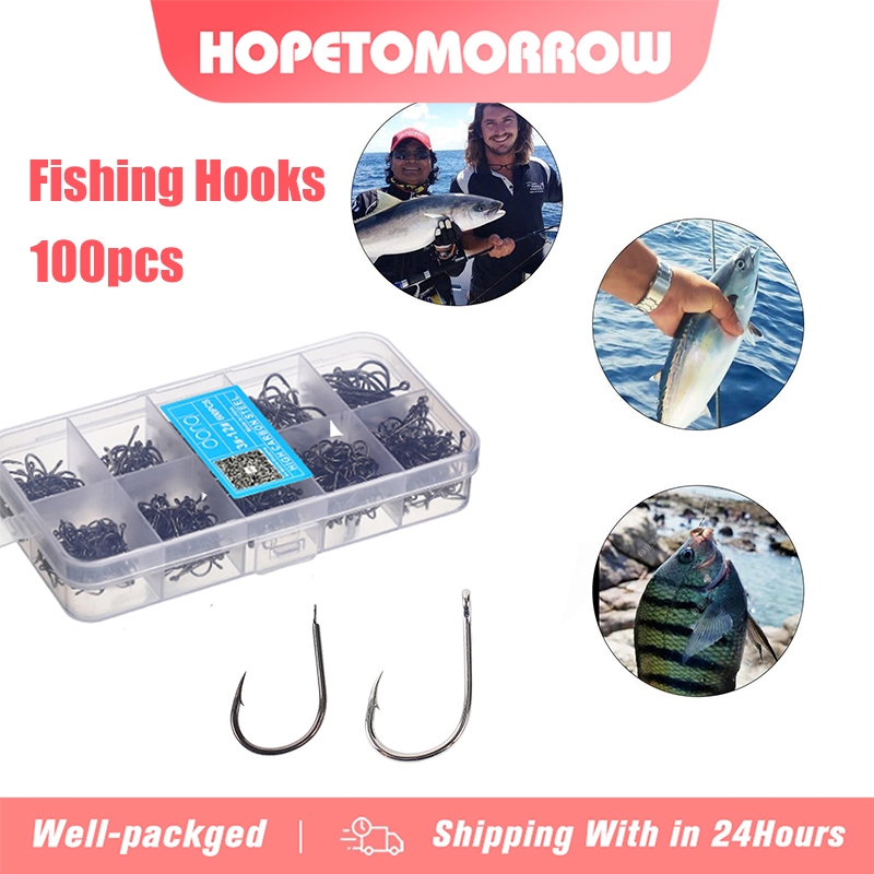 100PCS Small Fishing Hooks, Assorted 10 Sizes Fish Hooks Portable ...