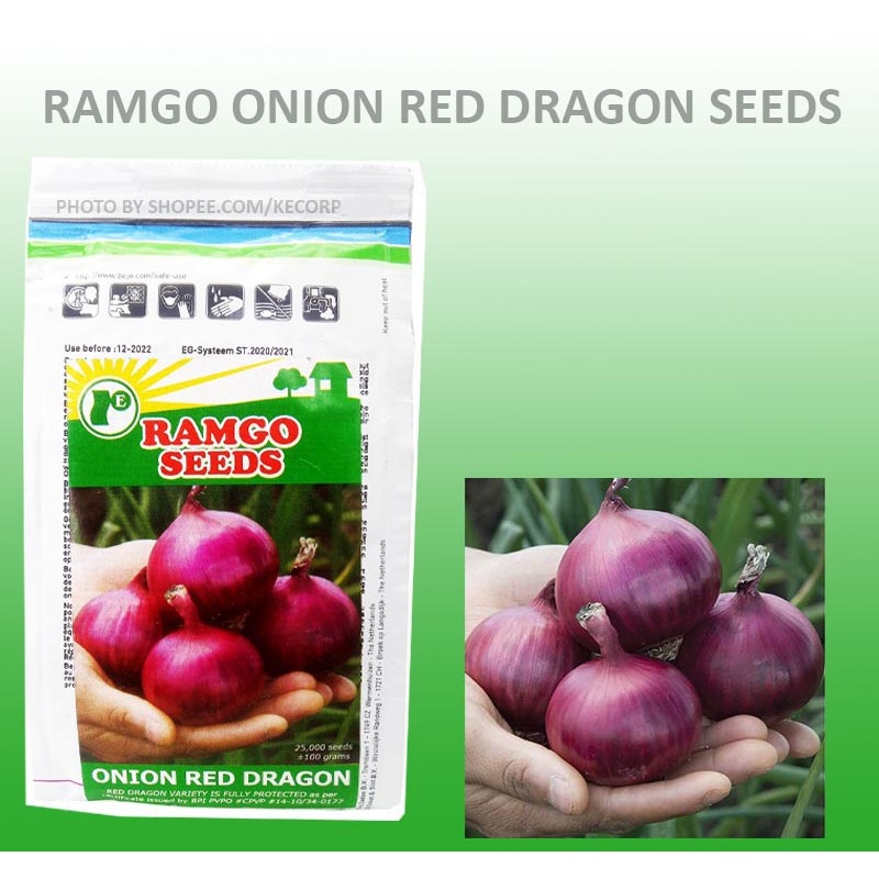 Onion Red Dragon 25,000 seeds by Bejo Netherland Imported by Ramgo ...
