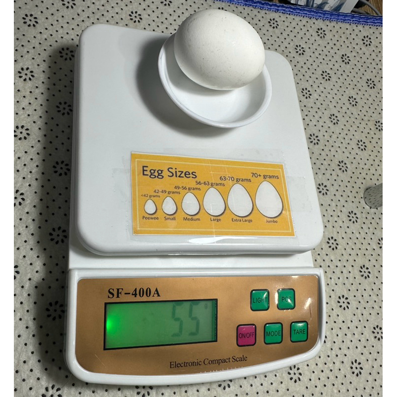EGG scale digital weighing scale | Shopee Philippines