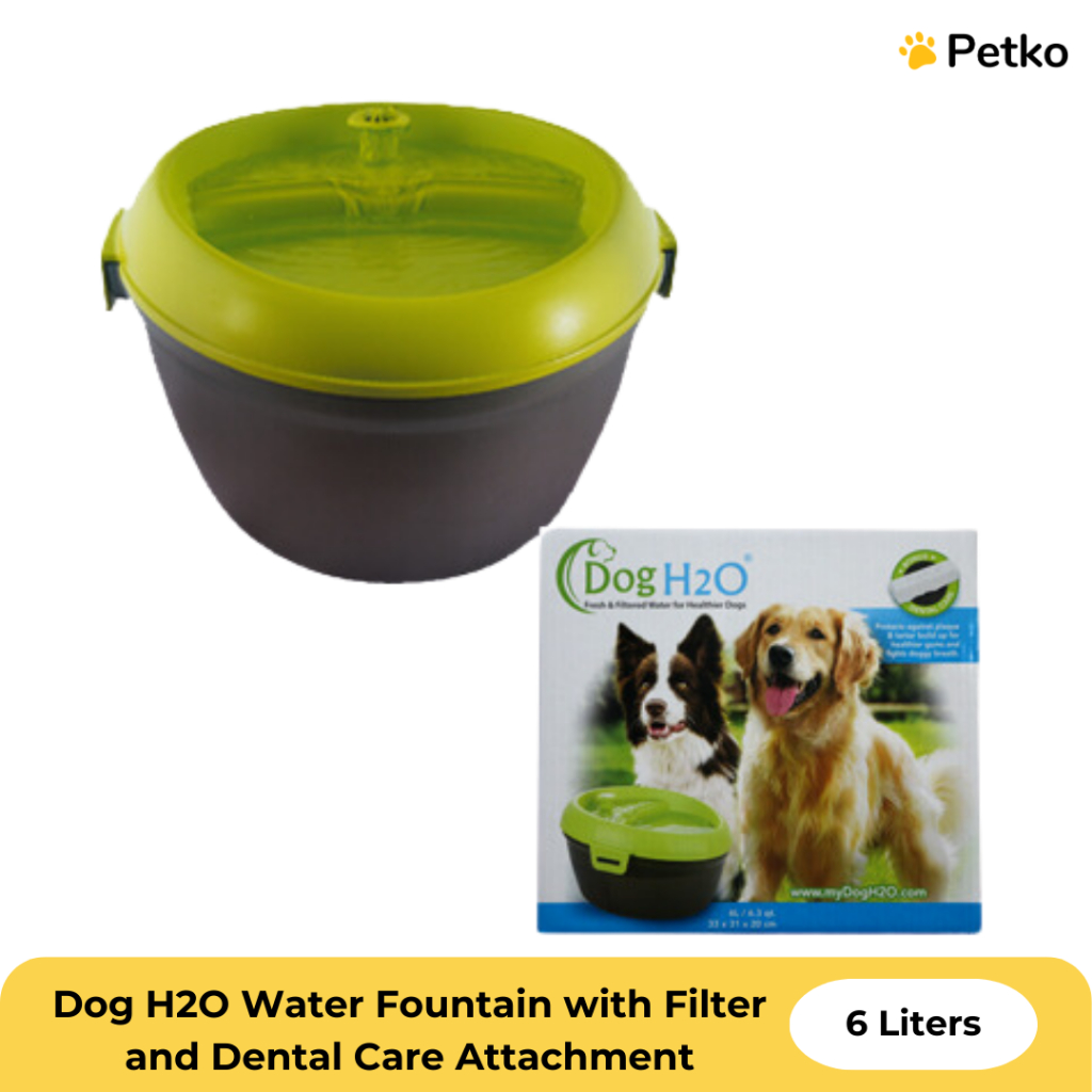 Dog H2O Water Fountain with Filter and Dental Care Attachment (6L ...