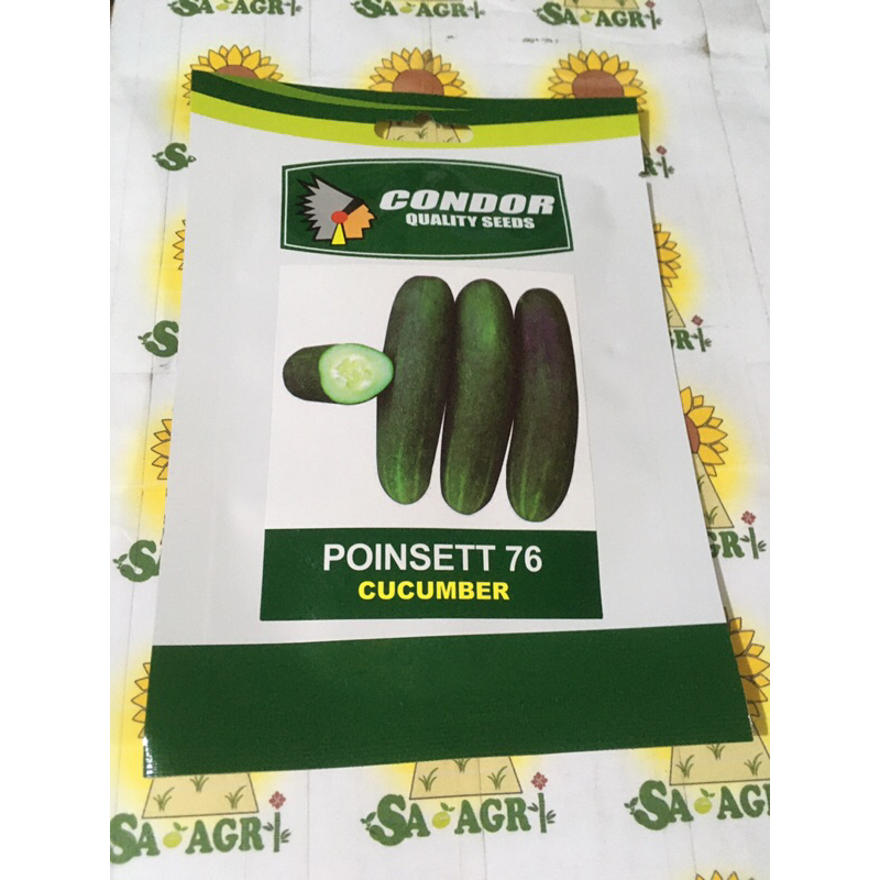 Poinsett 76 Cucumber Seeds (3g) by Condor | Shopee Philippines