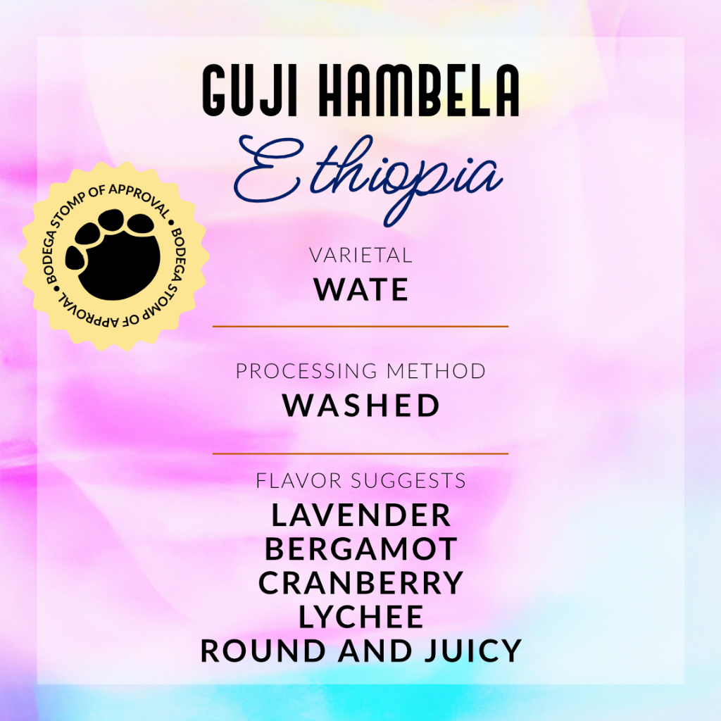 Guji Hambela Ethiopia Wate Washed - Freshly Roasted Coffee Beans ...