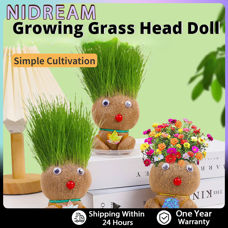 Cyn Grass Head Mini Plant Potted Children Growing Grass Doll Toys ...