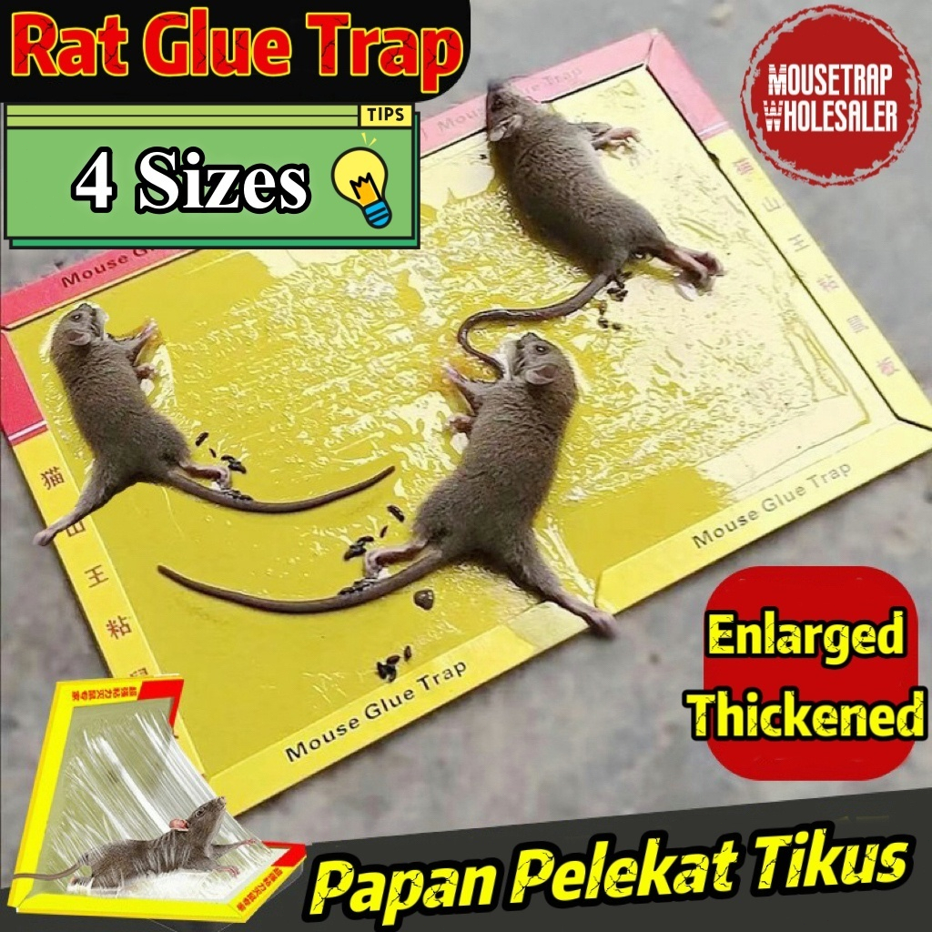1pc Mouse & Rat Glue Trap for Effective Pest Control | Shopee Philippines