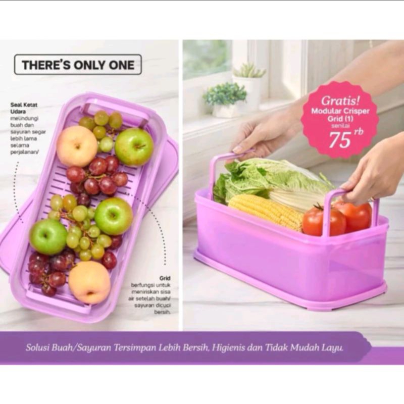 Tupperware Modular Crisper 6L (fruit & vegetables storage) | Shopee ...