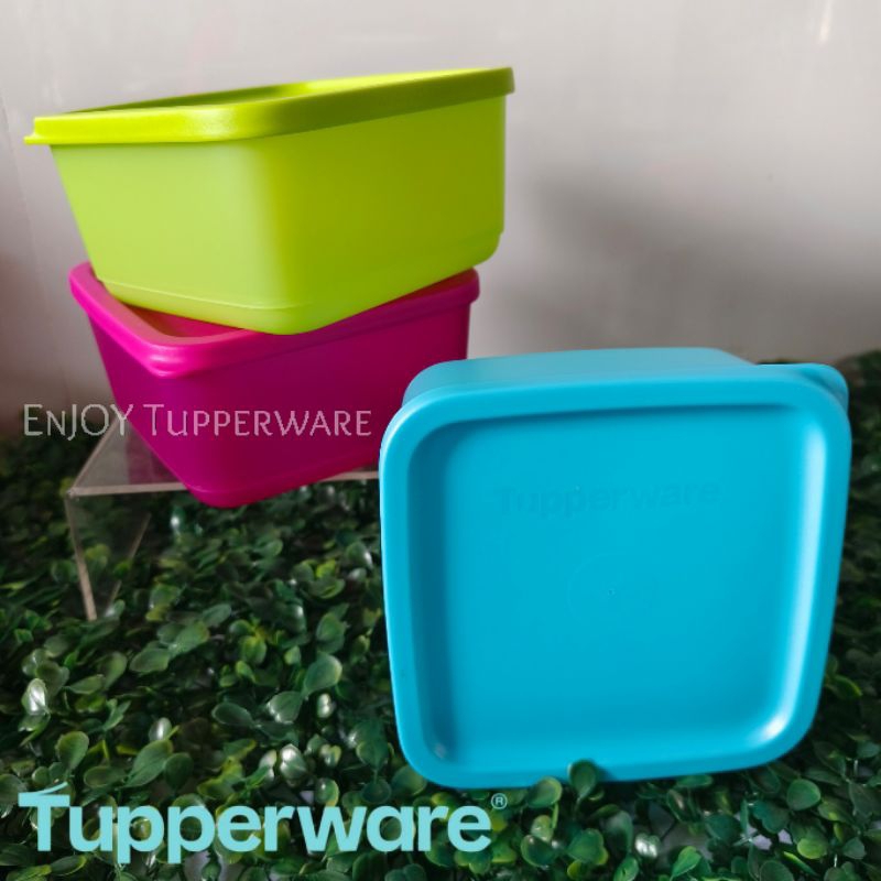 Tupperware Small Square Round 650ml | Shopee Philippines