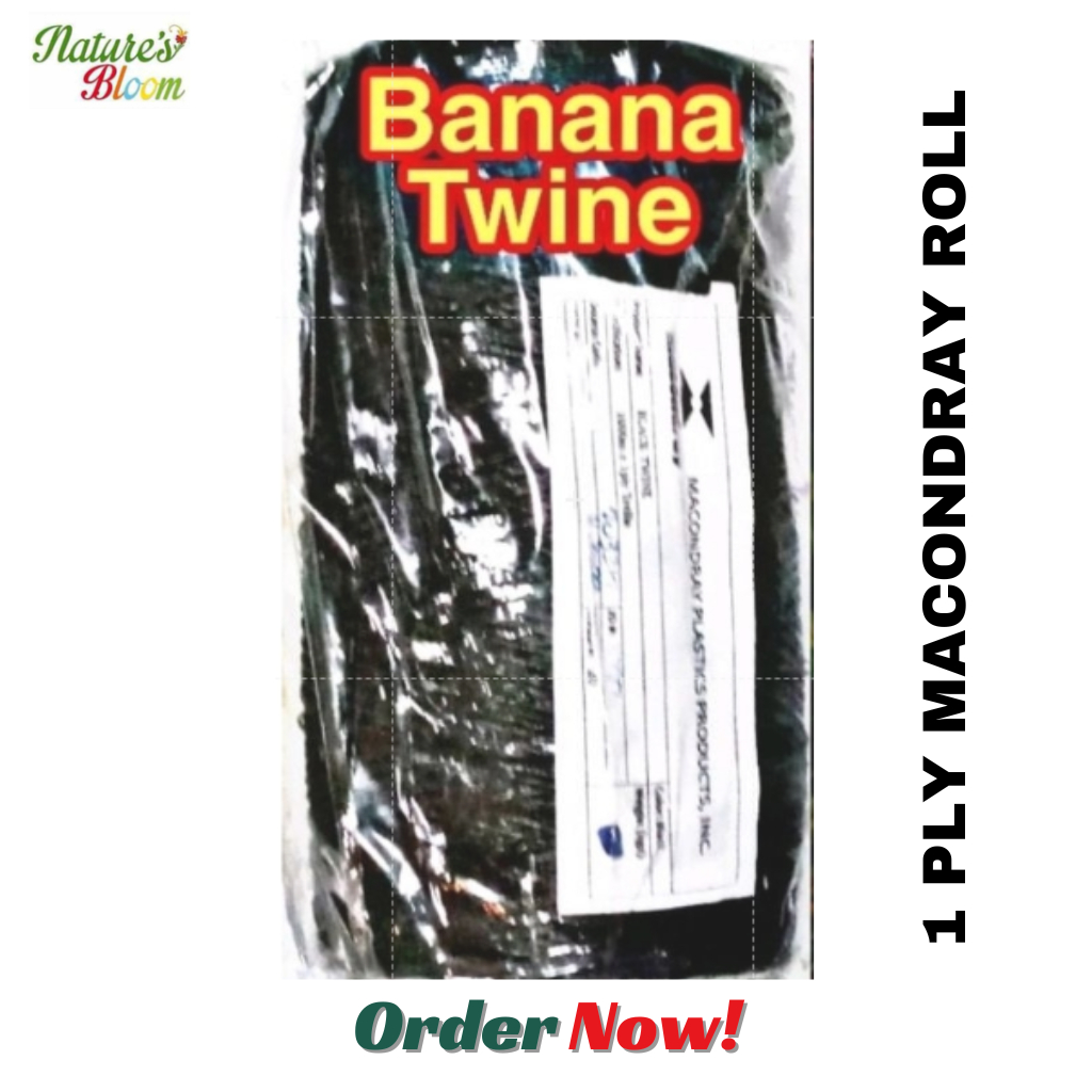 1 PLY BLACK BANANA TWINE MACONDRAY FOR TRELLISES AND HOLDINGS (1 ROLL ...