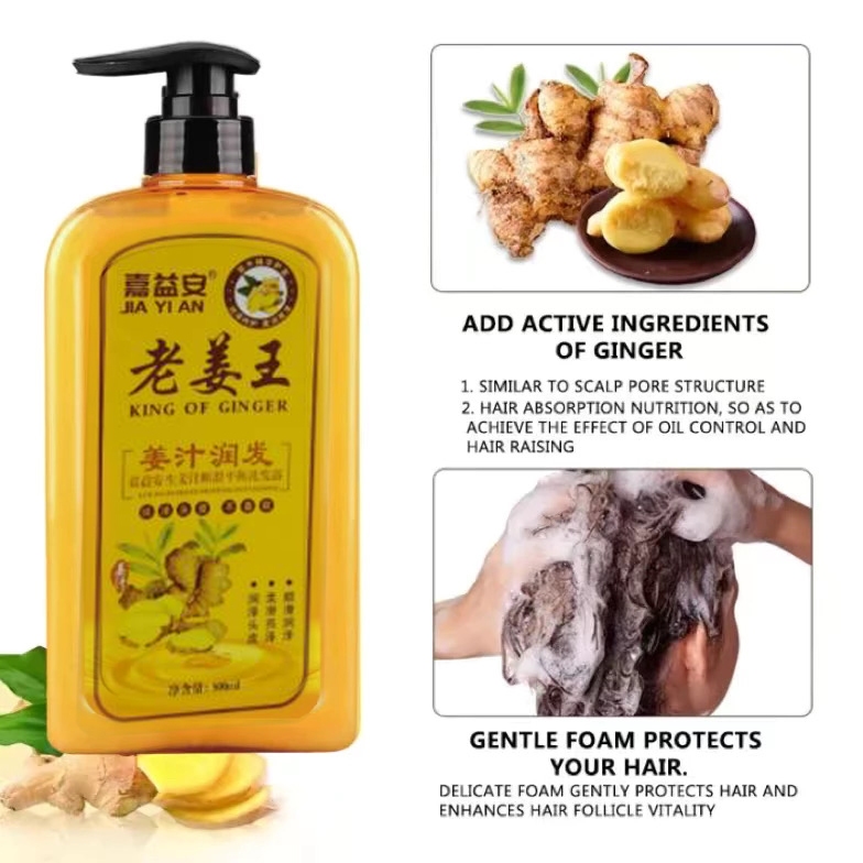 Ginger Hair Shampoo Fast Regrowth Hair Thick Anti-Hair Loss Anti ...