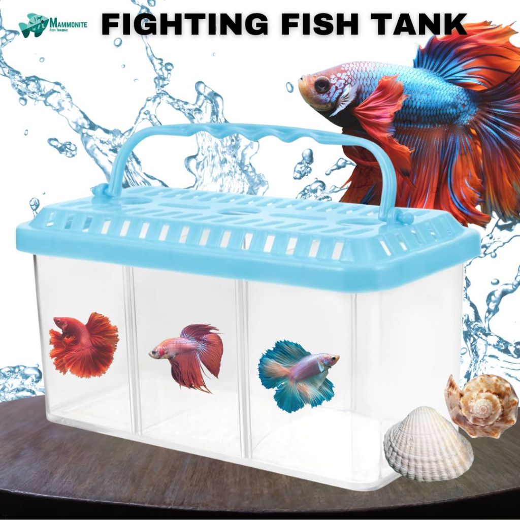 Triple Betta Tank Fighting Fish Aquarium Tank 9cm x 7.5cm x 16.5cm ...