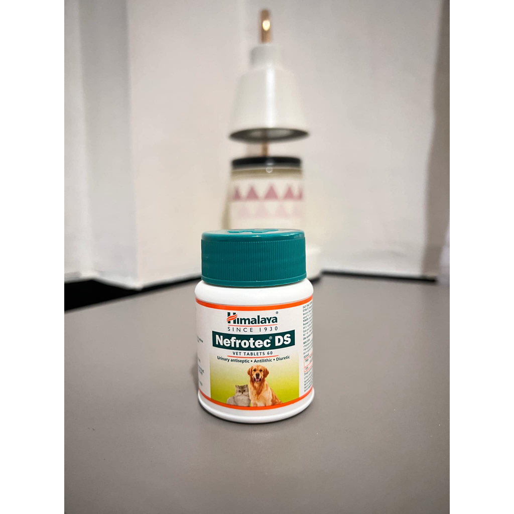 Himalaya Nefrotec Tablets Diuretic Urinary Antiseptic Prevents & Breaks ...