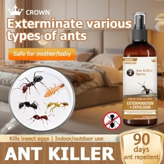 solignum - Best Prices and Online Promos - Oct 2024 | Shopee Philippines