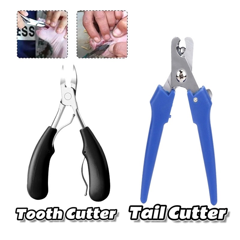 Piglet tool Kit Piglet tail cutter＋Piglet tooth cutter Stainless Steel ...