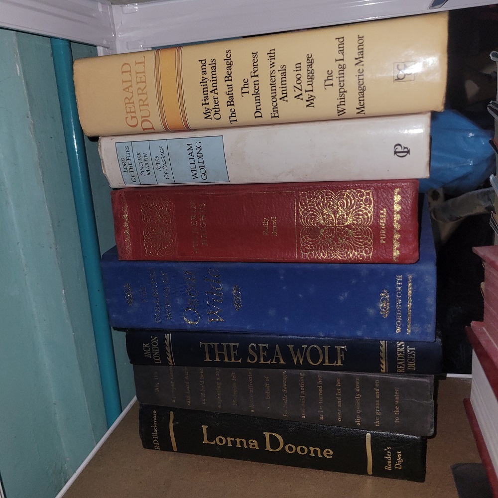 Classic Literature Collection – Leatherbound, Hardbound & Paperback ...