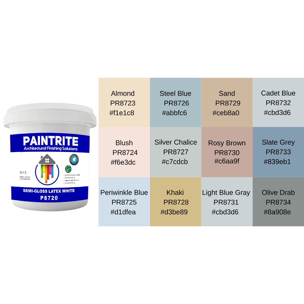 Paintrite Gloss Latex Paints 1L Color Palette #3 | Shopee Philippines