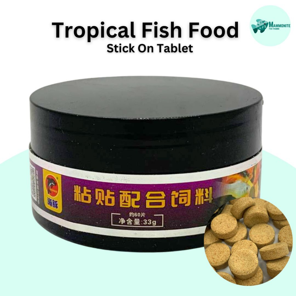 Porpoise Stick On Fish Food Tablet for Cichlids and Small Tropical Fish ...