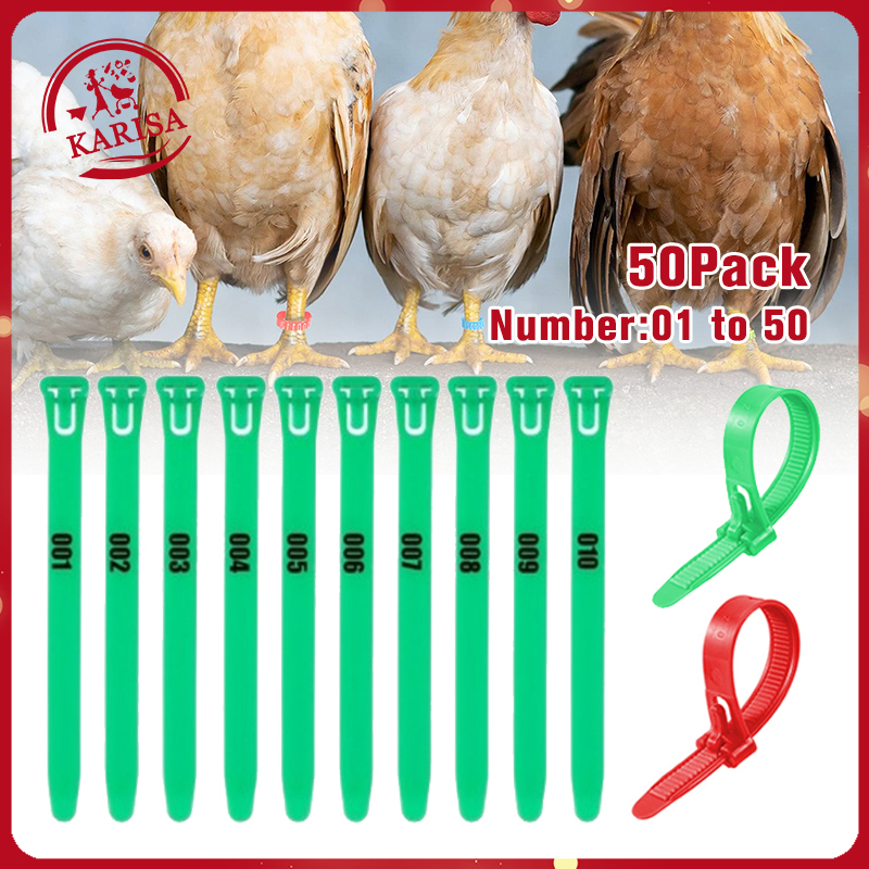 50Pcs Chicken Leg Band Poultry Leg Bands Chicken Foot Ring With ...