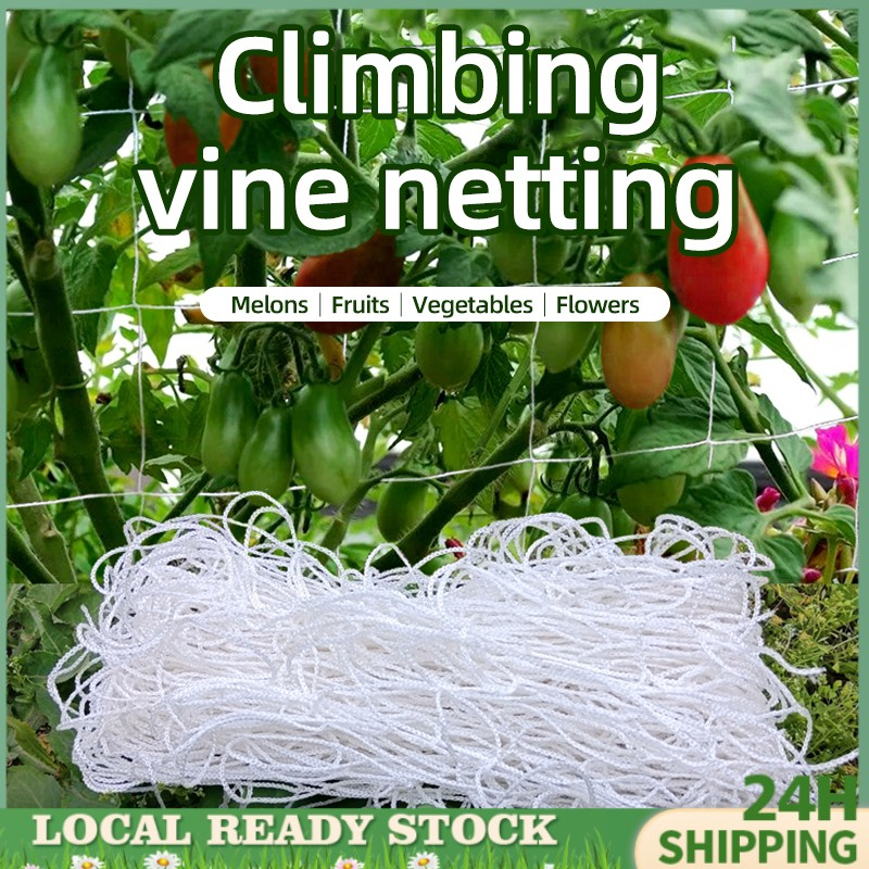 5M Plant Climbing Net Garden Nylon Trellis Net Support For Vegetables ...