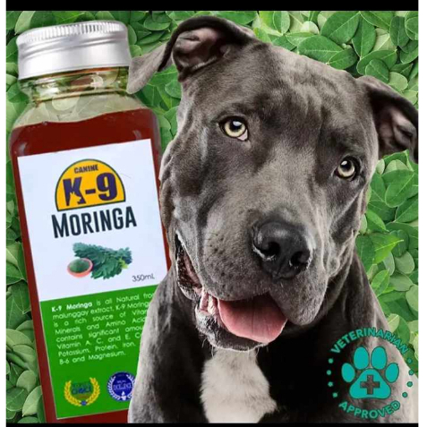 K9 Moringa Organic Dog and Cat Supplement Natural Healthy Fuel for Pets ...