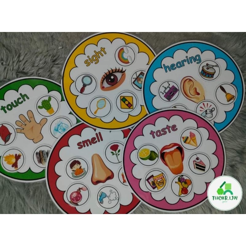 5 Senses Sorting Game | Shopee Philippines
