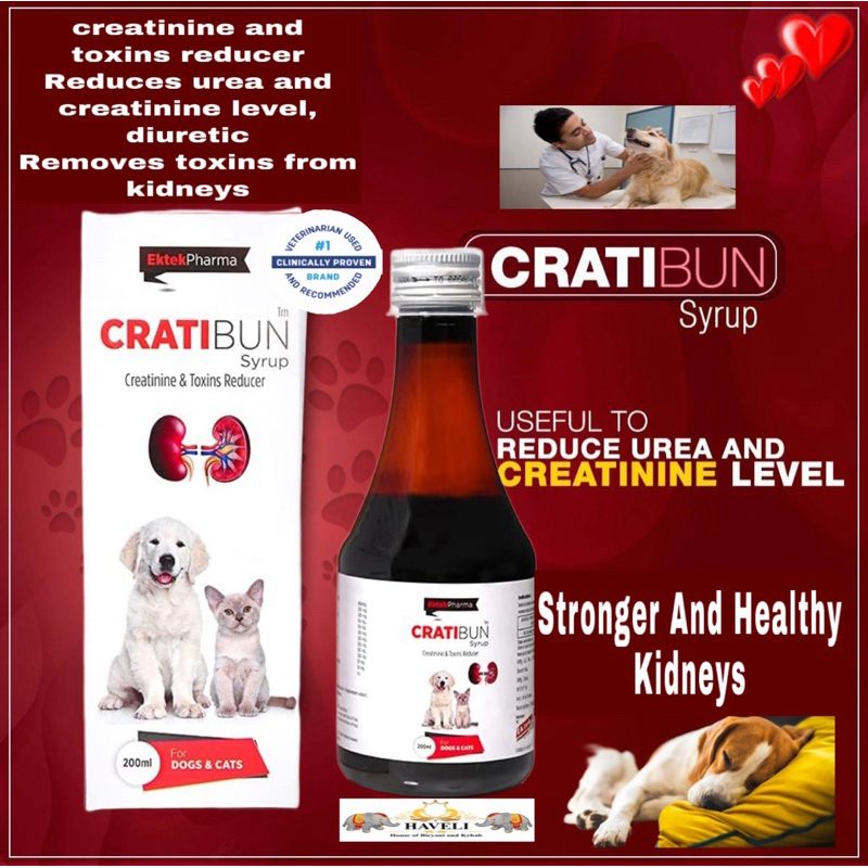 EkTek Pharma CratiBun Syrup Treat Urea and Creatinine For Dogs And Cats ...