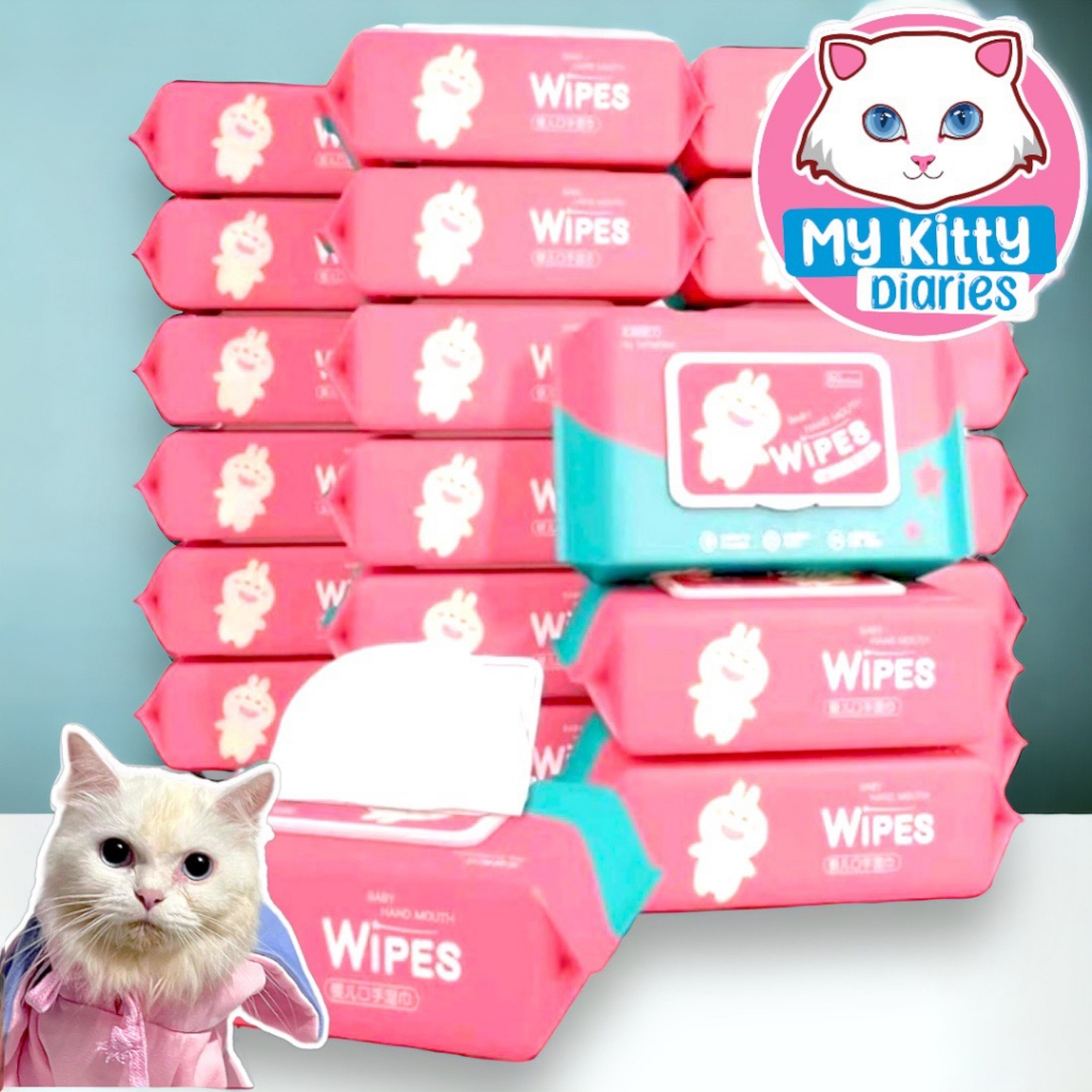 WET WIPES (Runbeimian, Runbeile, Runbeier Masaya) (80 sheets) | Shopee ...