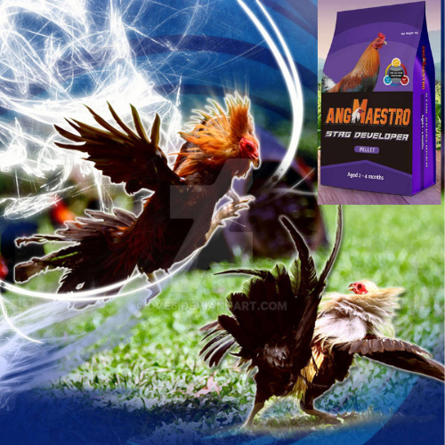 PAMPATIBAY NANG BUTO, JOINTS AT MUSCLES MAY TRI-ACTIVE BOOSTER STAG ...