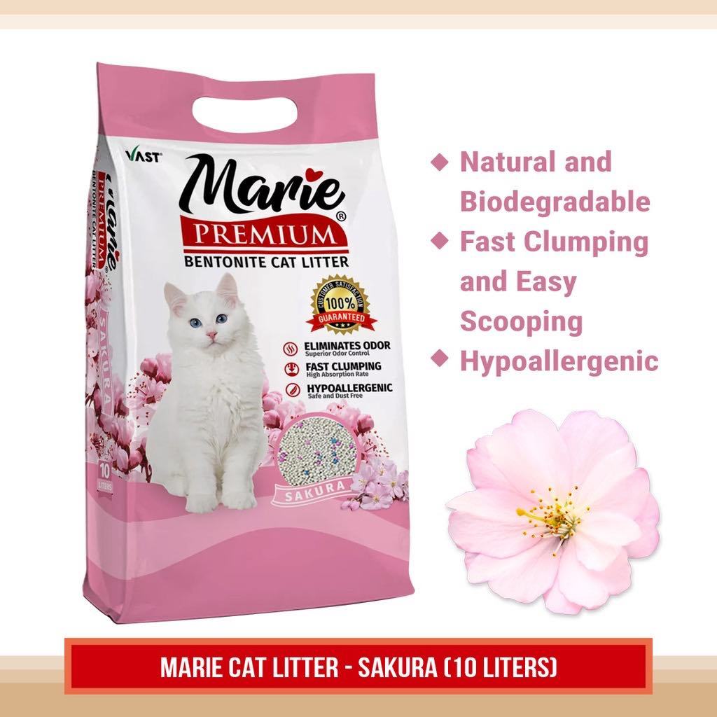 10L Marie Premium Bentonite Cat Litter Cats Pet Essentials | Shopee ...