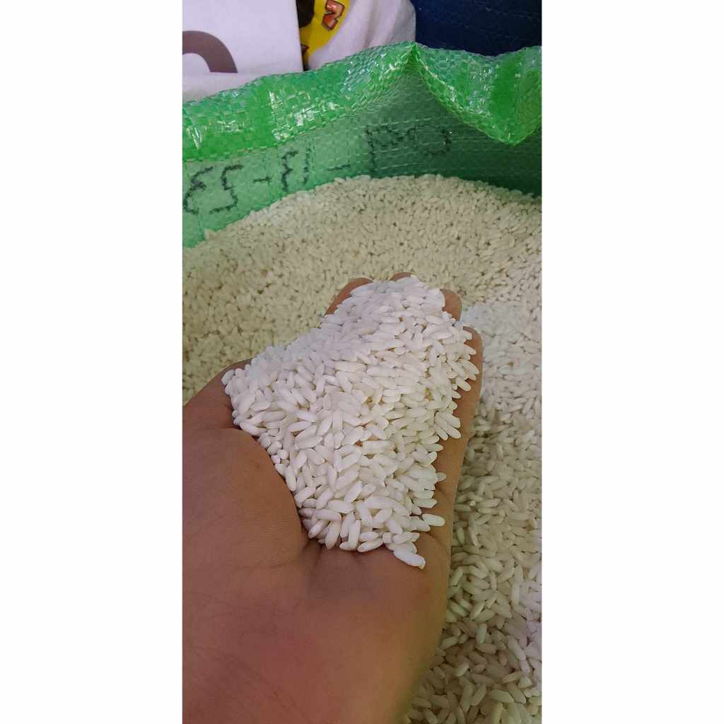 MALAGKIT WHITE RICE 2KL | Shopee Philippines
