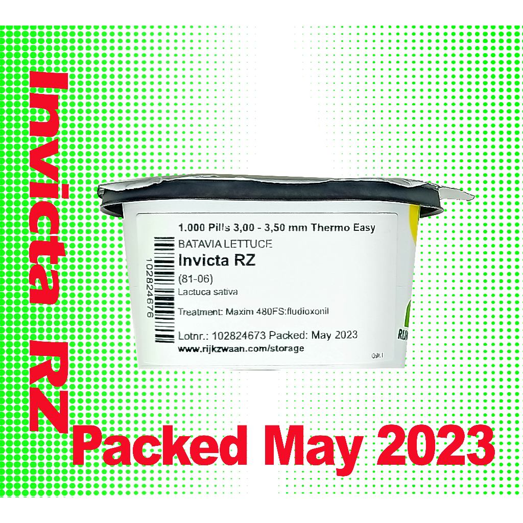 Invicta RZ Batavia Lettuce 1,000 Pills (Rijk Zwaan) original pack with ...