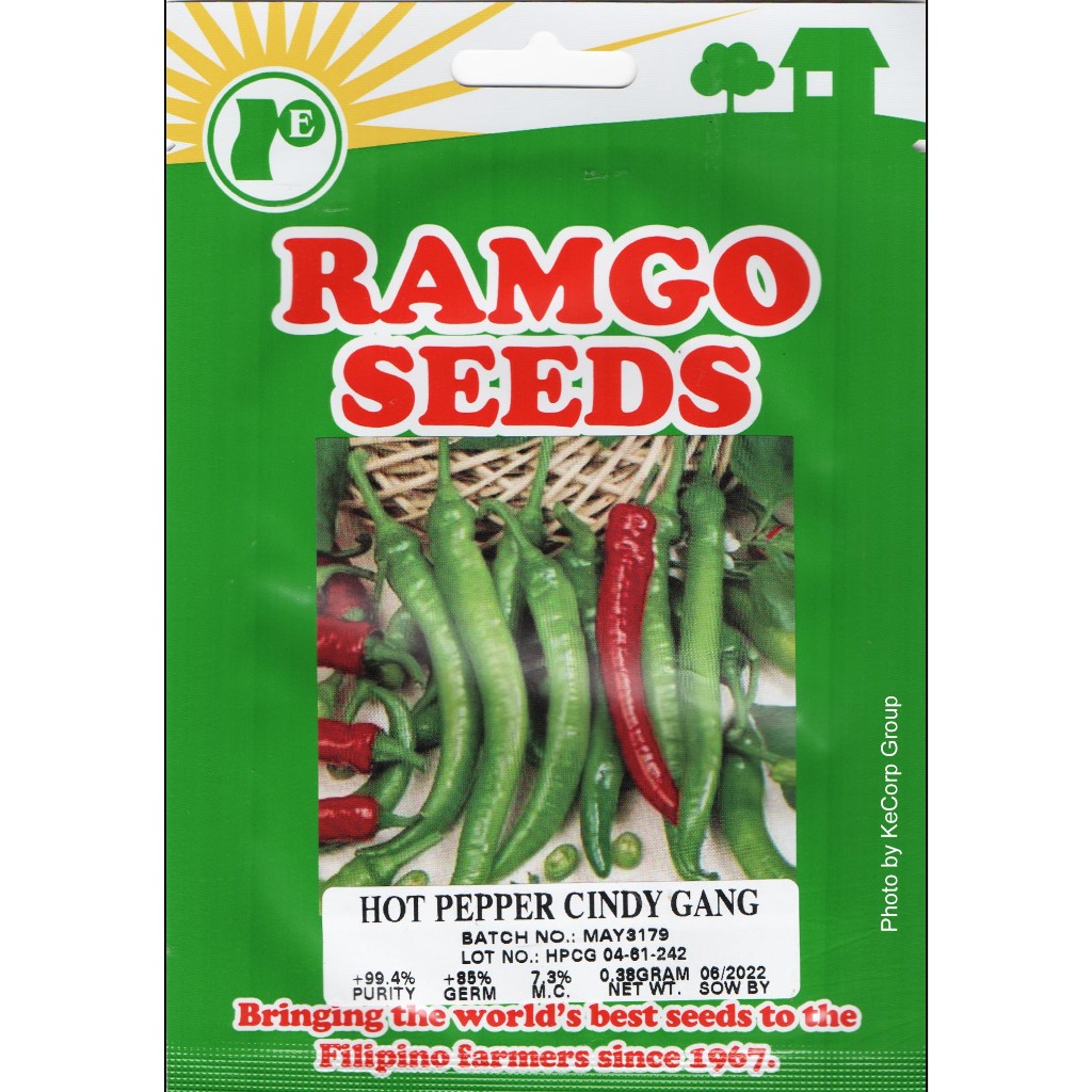 Ramgo Seeds - Pechay Pakchoi Eggplant Ampalaya Patola Upo Sitao Okra ...