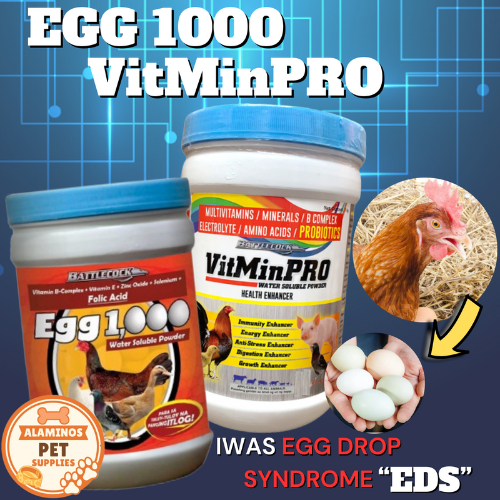 [APS] 1 KILO EGG 1000 / 1 KILO VITMINPRO / EGG ENHANCER / HEALTH ...