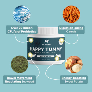 Dr Shiba Happy Tummy & Pro Immune Dog Treats Dog Multivitamins: Dog ...