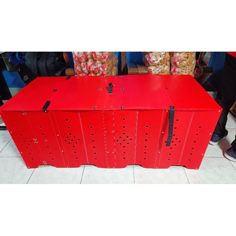 Bigger Size Gamefowl Folding Cage - 4 Division for Keeping / Apatan ...