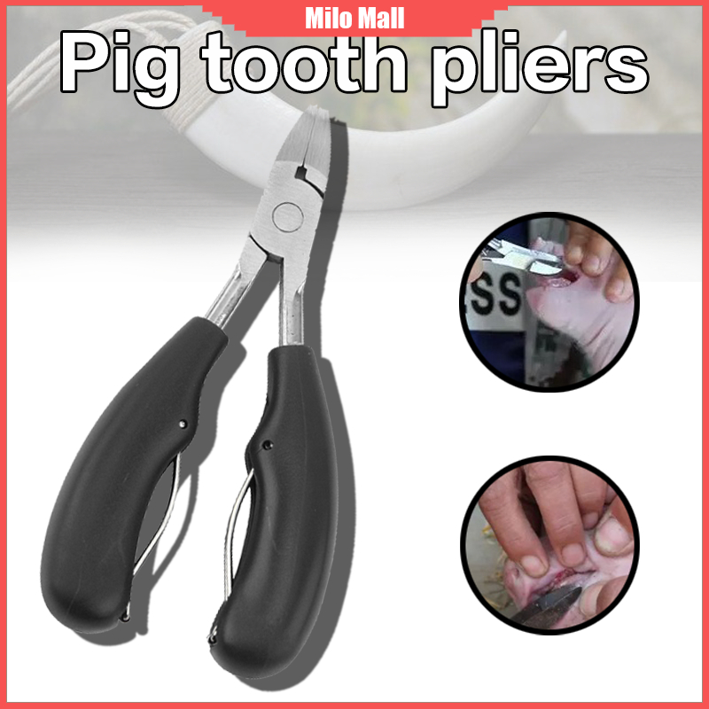 Stainless Steel Teeth Cutter Pig Tooth Nipper Piglet Teeth Cutter ...