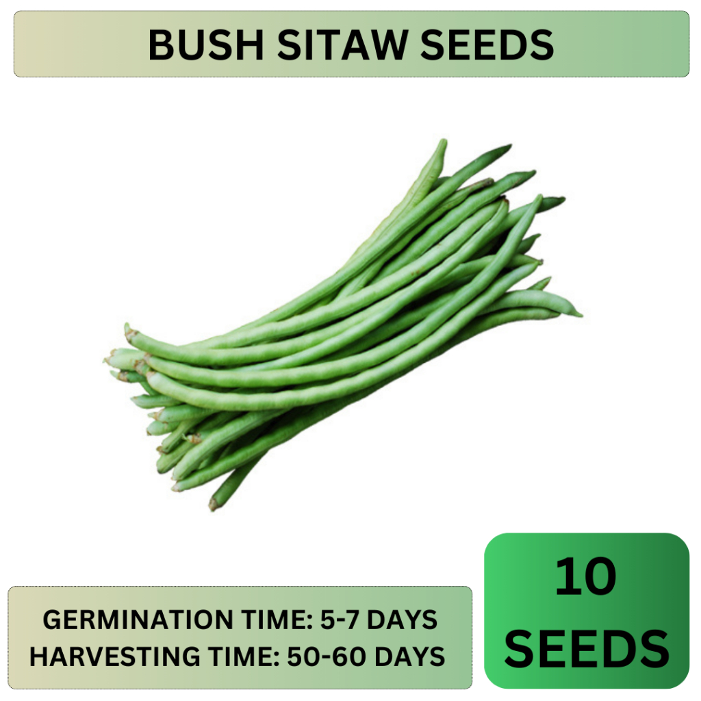 VALUE PACK - HIGH QUALITY VEGETABLE SEEDS/ALL KINDS OF BRANDED SEEDS ...