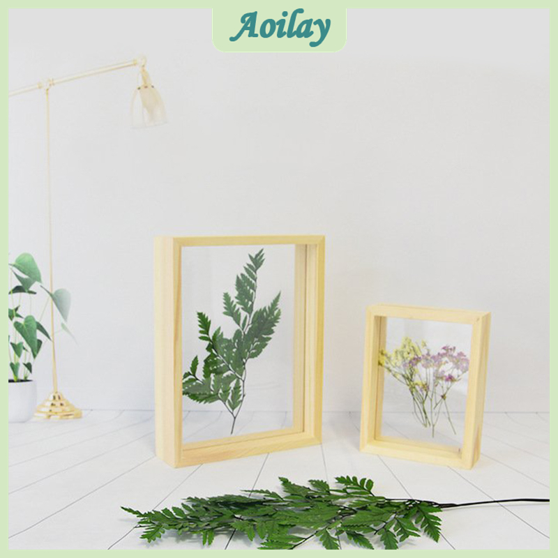 4 inch / 5 inch / 6 inch Wooden Plant Specimen Frame DIY Square Plant ...