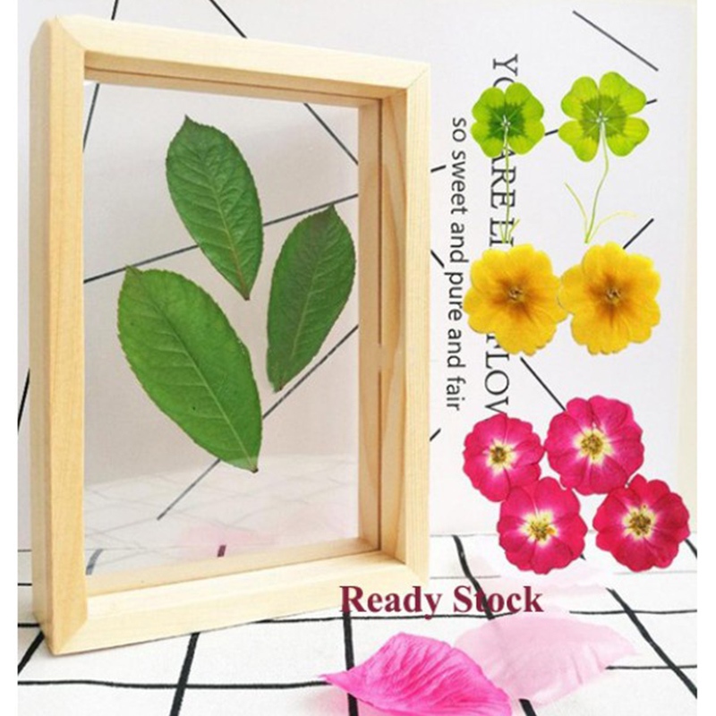 6 inch Wooden Plant Specimen Frame DIY Square Plant Specimen Holder ...