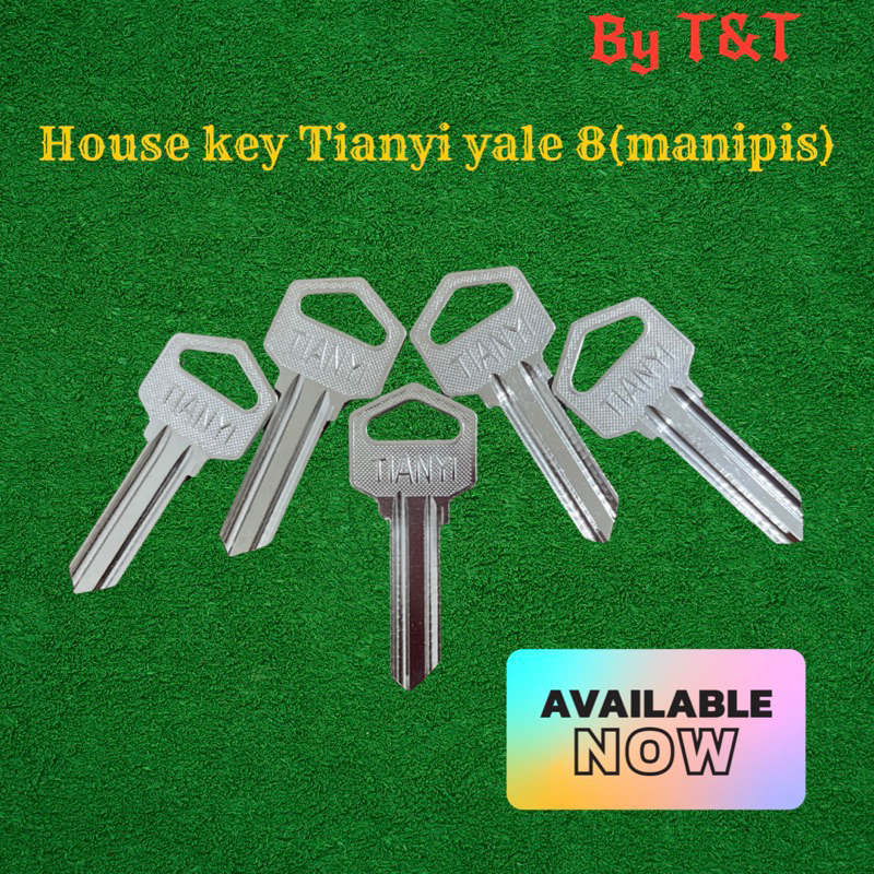 House key A101 Tianyi (manipis)10pcs | Shopee Philippines
