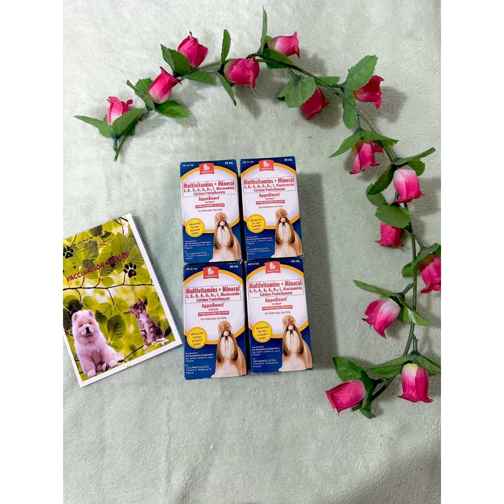 APPEBOOST 60ml & 120ml (Vitamin Supplement) | Shopee Philippines